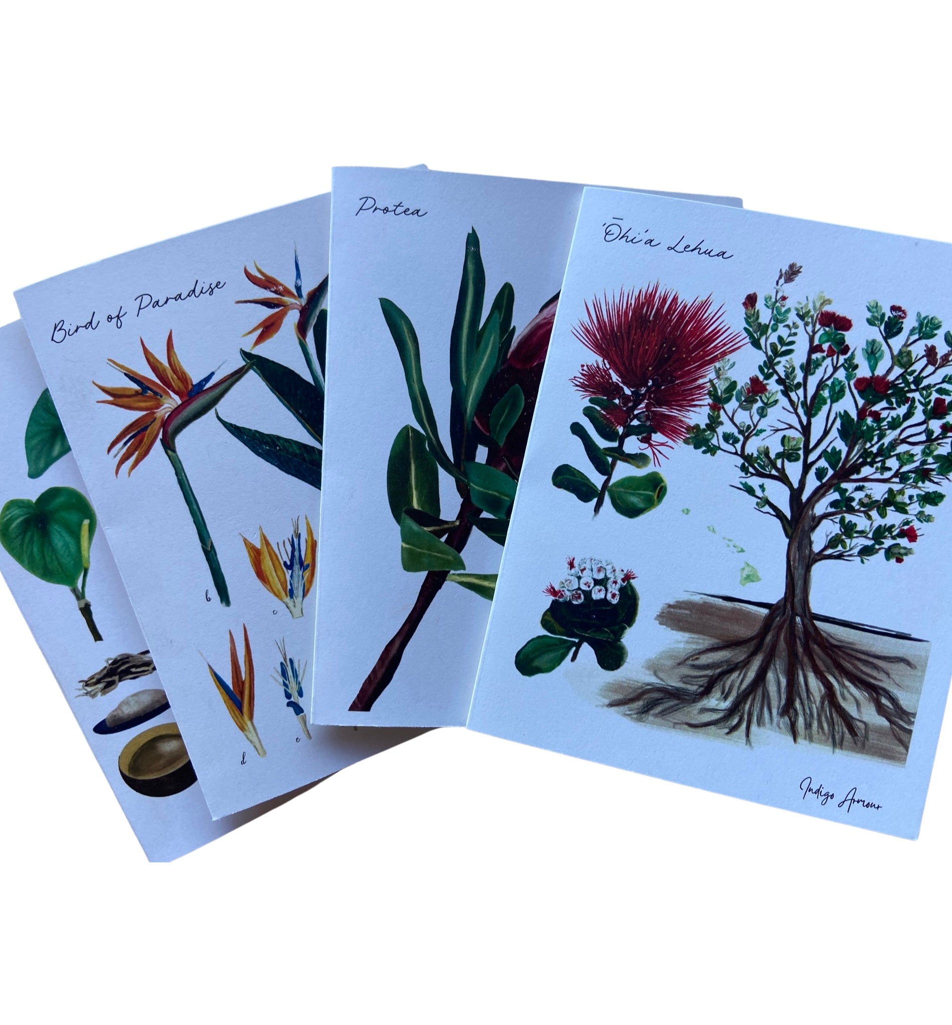 Art: Botanical Cards – Indigo Armour